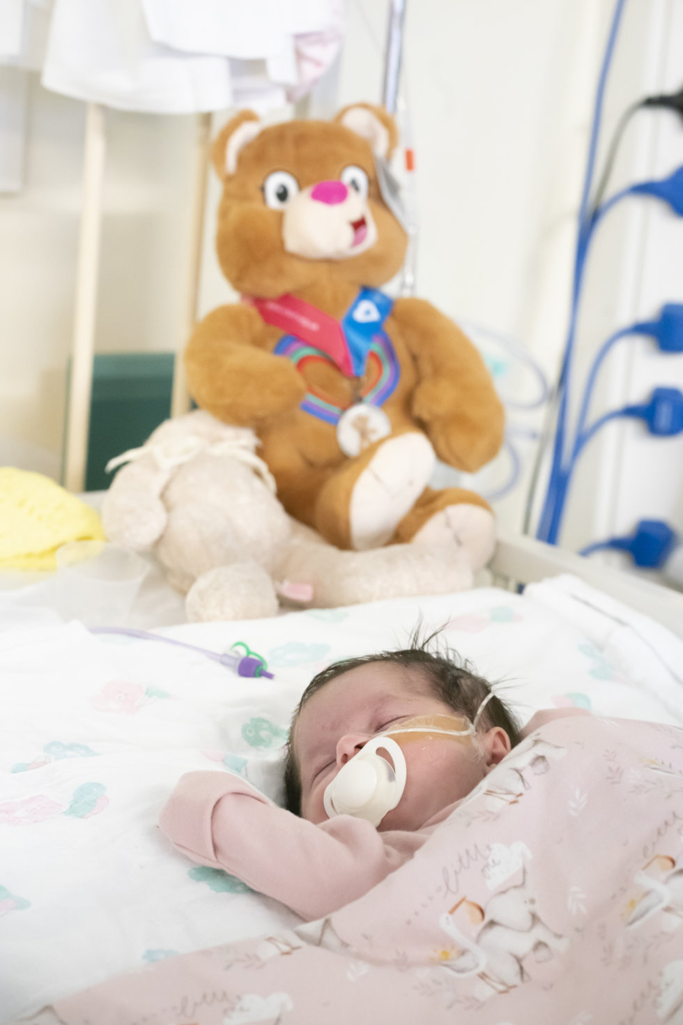 Christmas Party 2024: Register your interest - CHSF